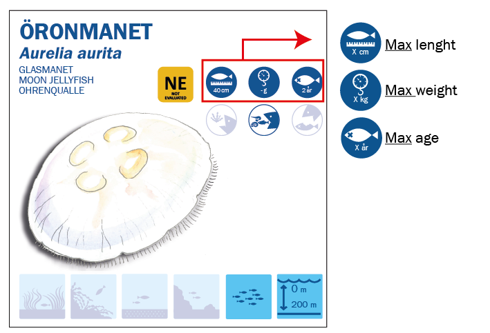 Havets Hus species signs - Havets Hus i Lysekil