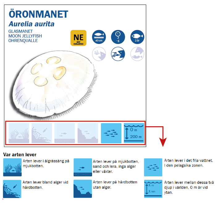 Havets Hus Artskyltar - Havets Hus i Lysekil