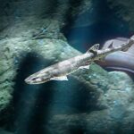 Testsida!! - Havets Hus i Lysekil